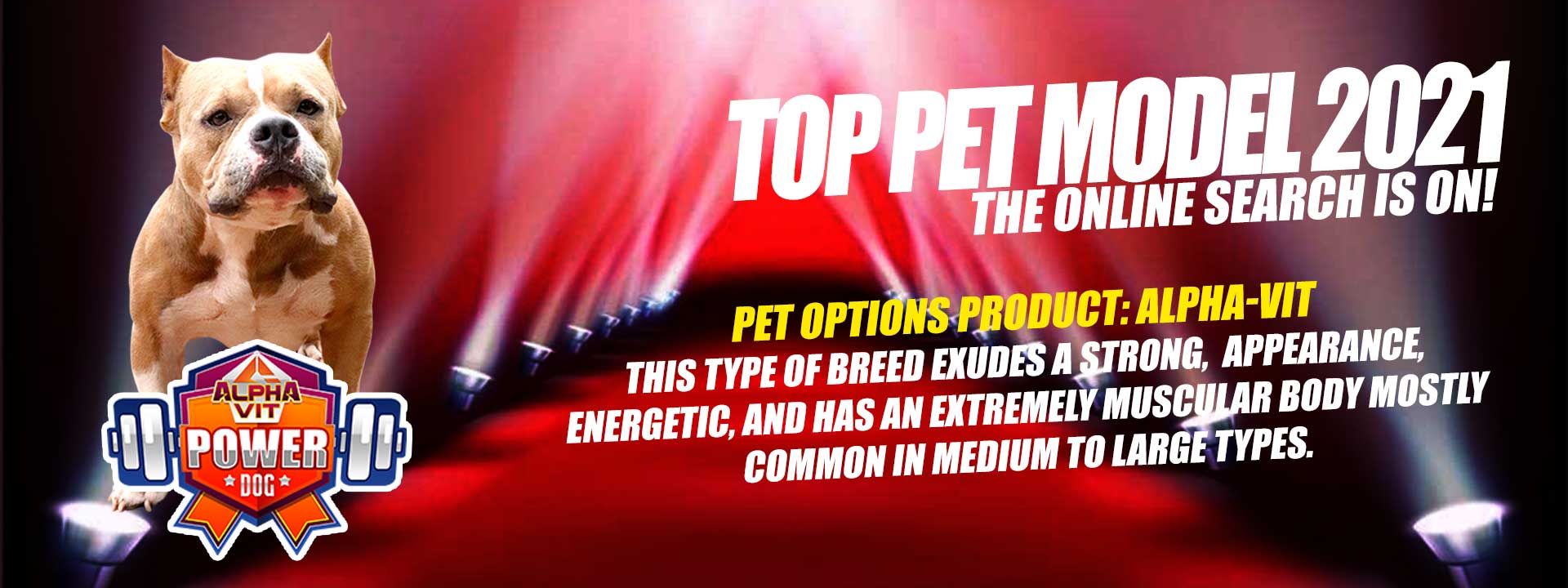 Search2021 - Pet Options